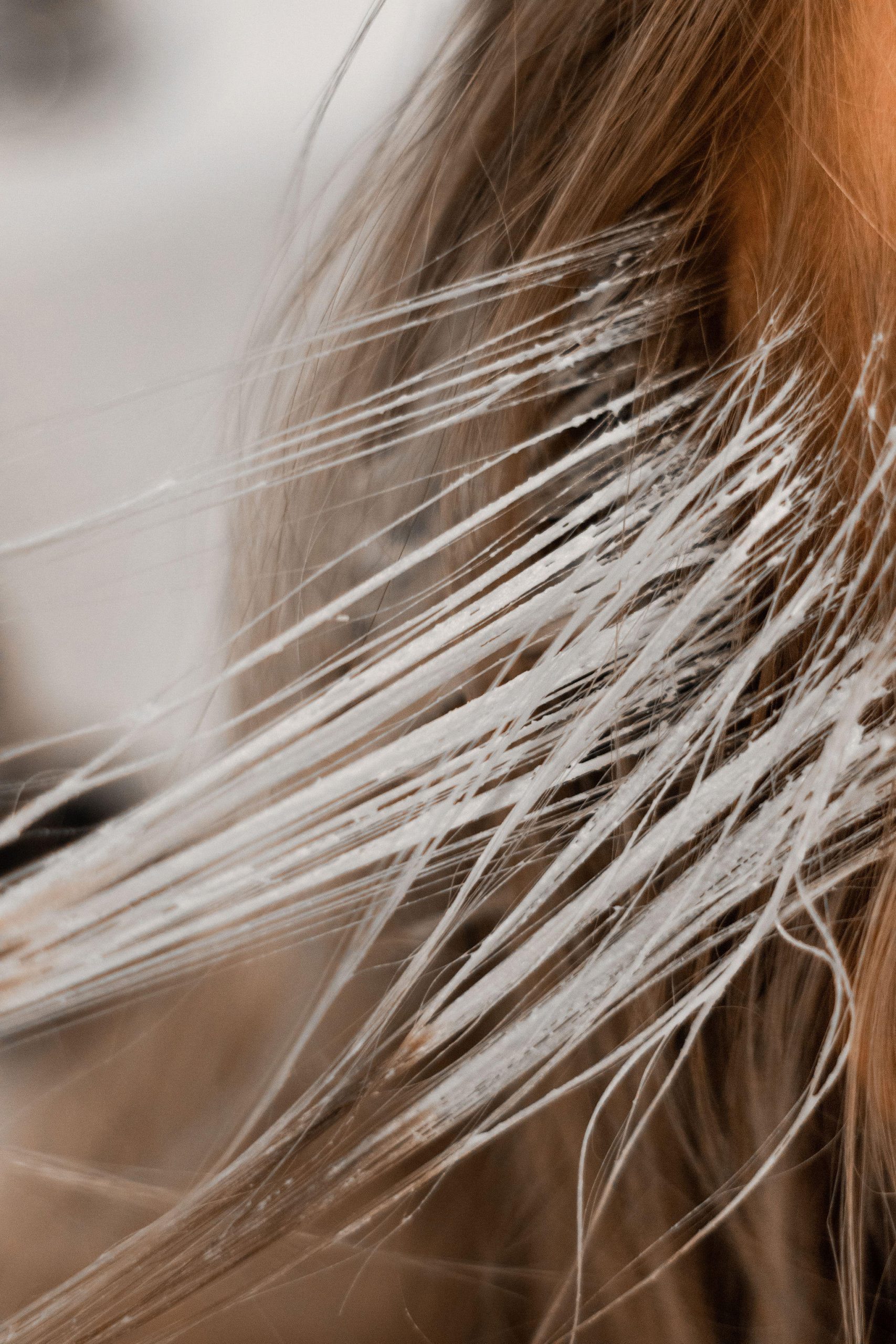 Gallery – Collective Hair Studio